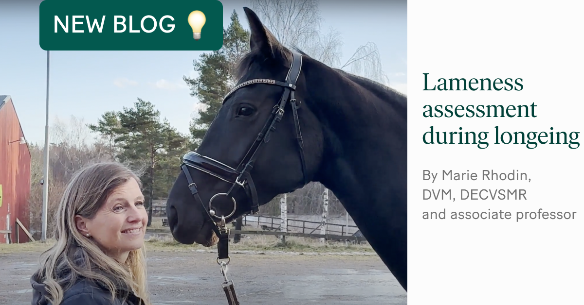 Webinars about objective gait analysis for equine veterinarians